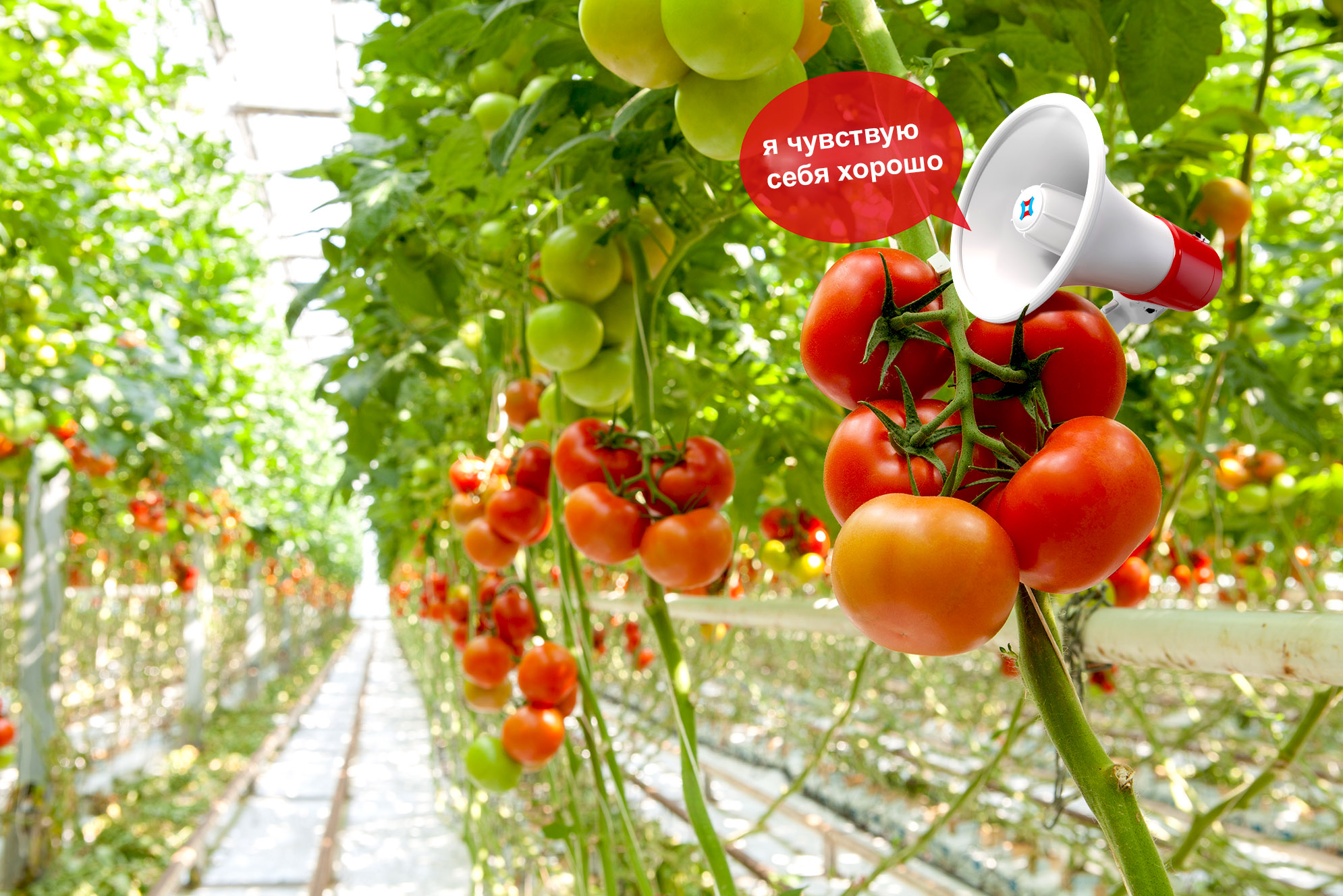 PlantVoice - Hoogendoorn Growth Management