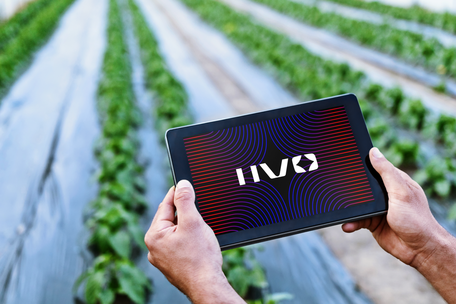 用IIVO将自然与技术融合 - Hoogendoorn Growth Management